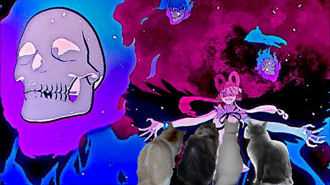 Tot Musica - YouTube