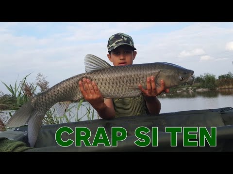 Montură pentru CRAP ȘI TEN 🌽 ( pentru toamnă 🍁 ) - YouTube