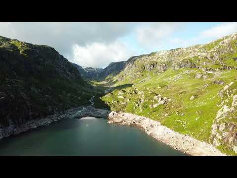 Green Nature | Morning sunshine beautiful natural video | Relaxing nature 4K Video