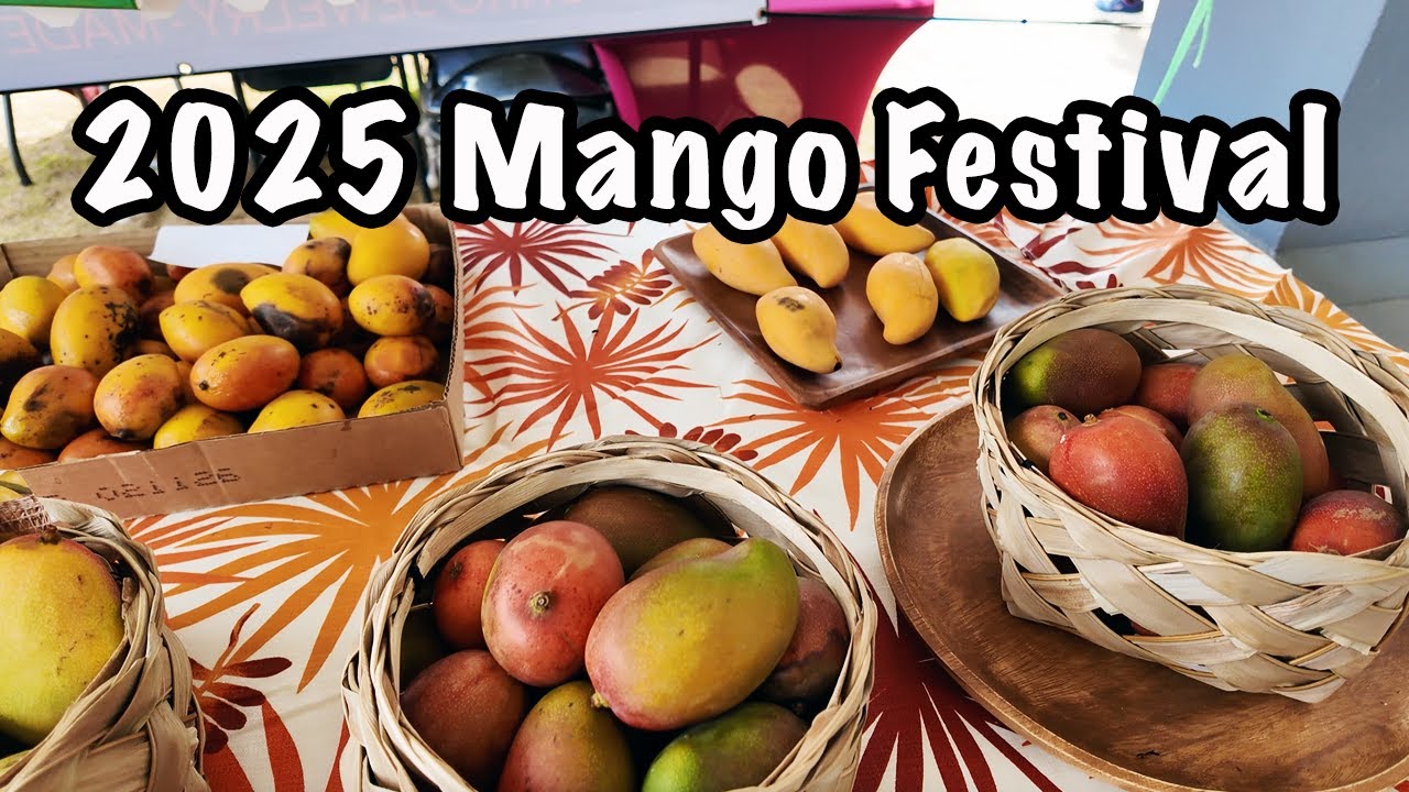 🥭 Hågat Mango Festival in Guam! - YouTube