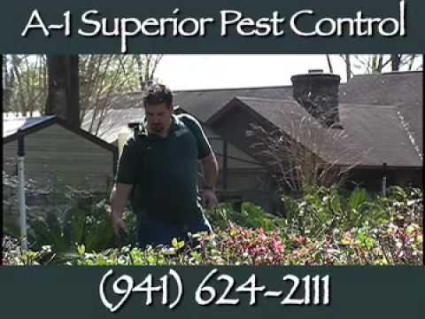 A-1 Superior Pest Control, Port Charlotte, FL - YouTube