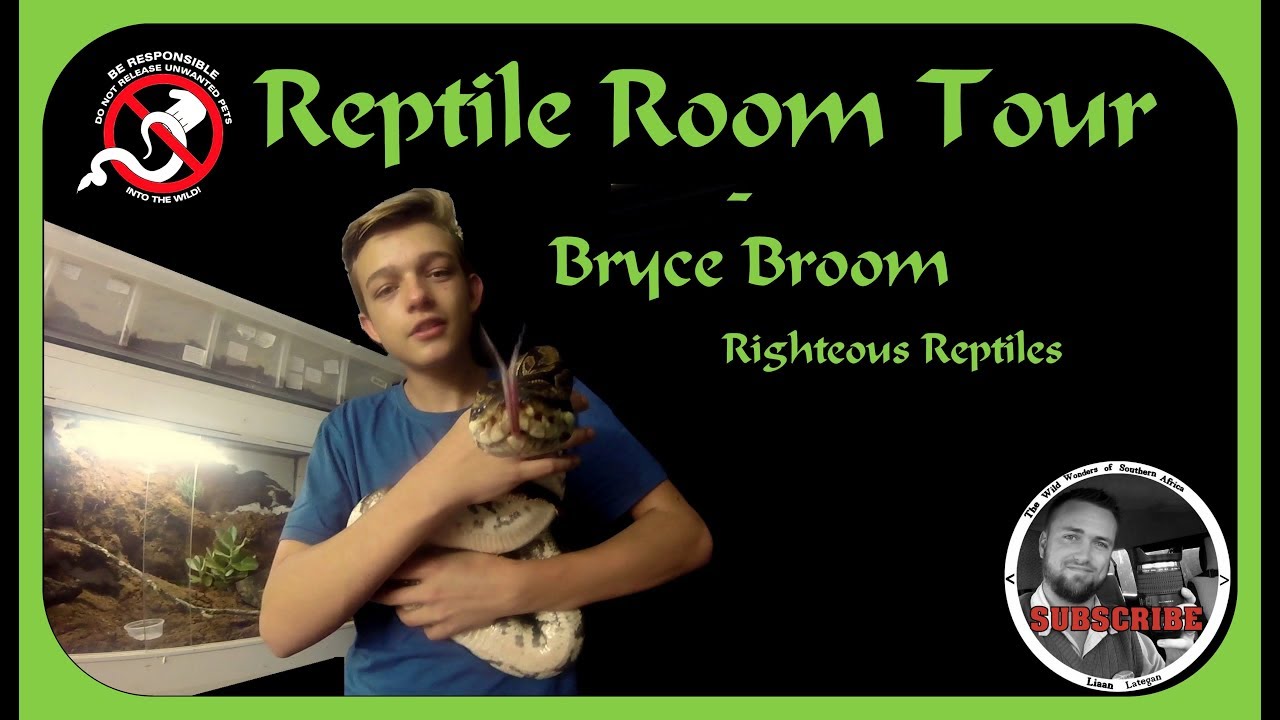 Reptile room tour - Bryce Broom - YouTube
