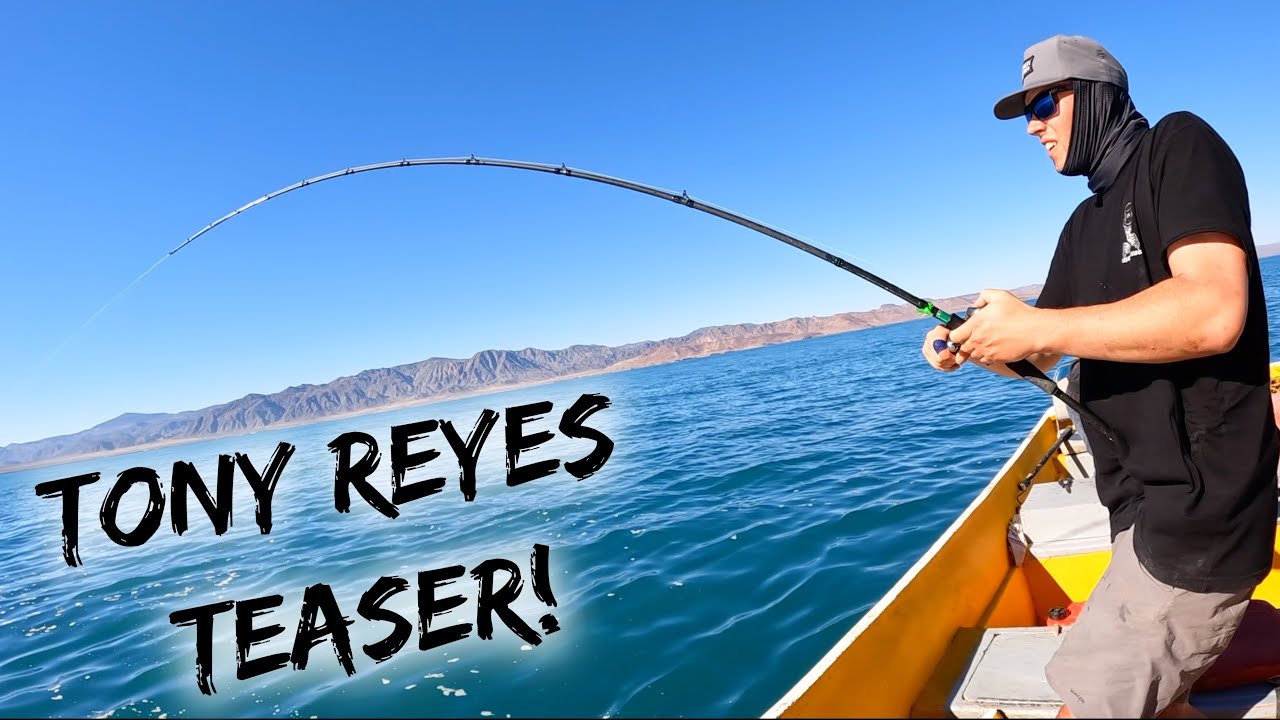 Tony Reyes // Cabrilla Chaos! (Teaser) - YouTube