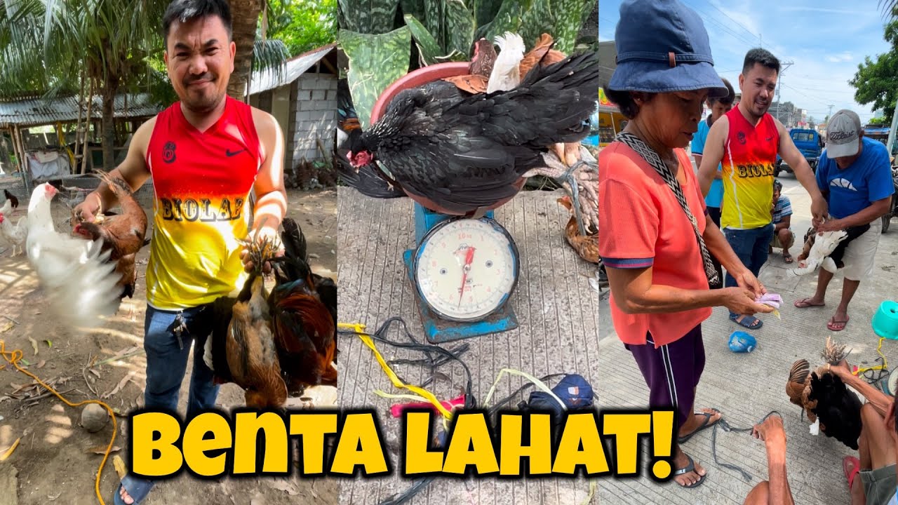 Binenta ko lahat ng upgraded native na manok - YouTube