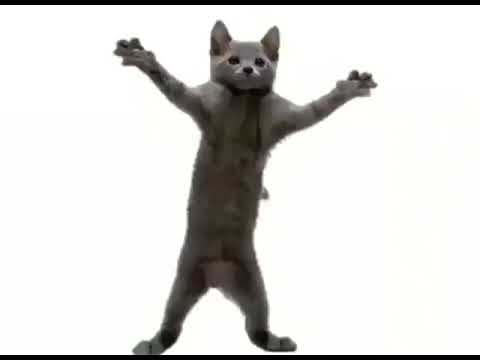 Dip da dee da dee dee doh doh cat