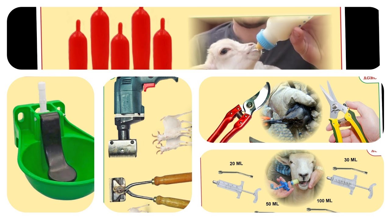 Goat Farming Tools and Accessories || All over India delivery. P & S ...