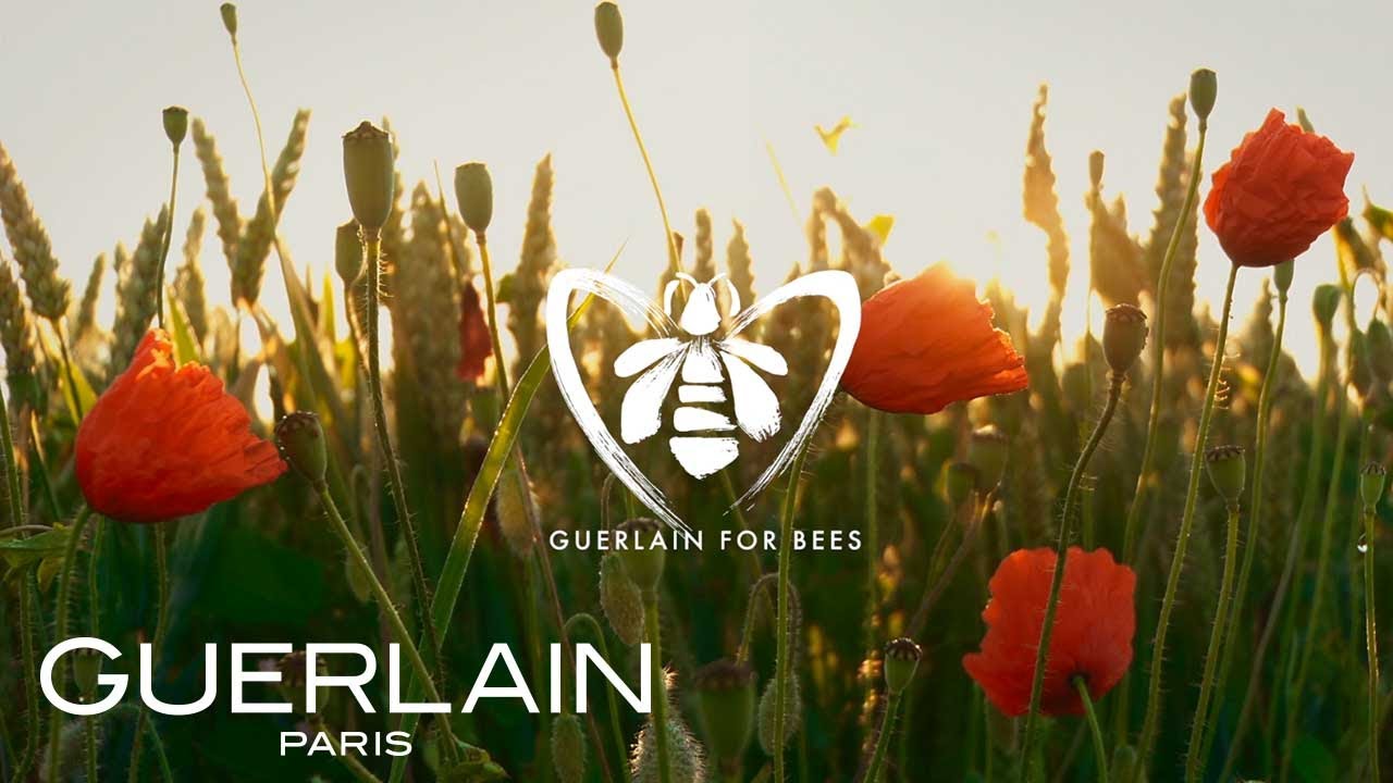 GUERLAIN | Bee Stories: Bees, Flowers & Plants - YouTube