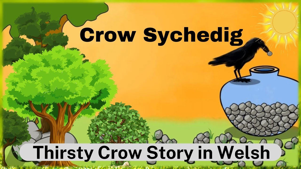 Crow Sychedig - Thirsty Crow Story in Welsh - YouTube
