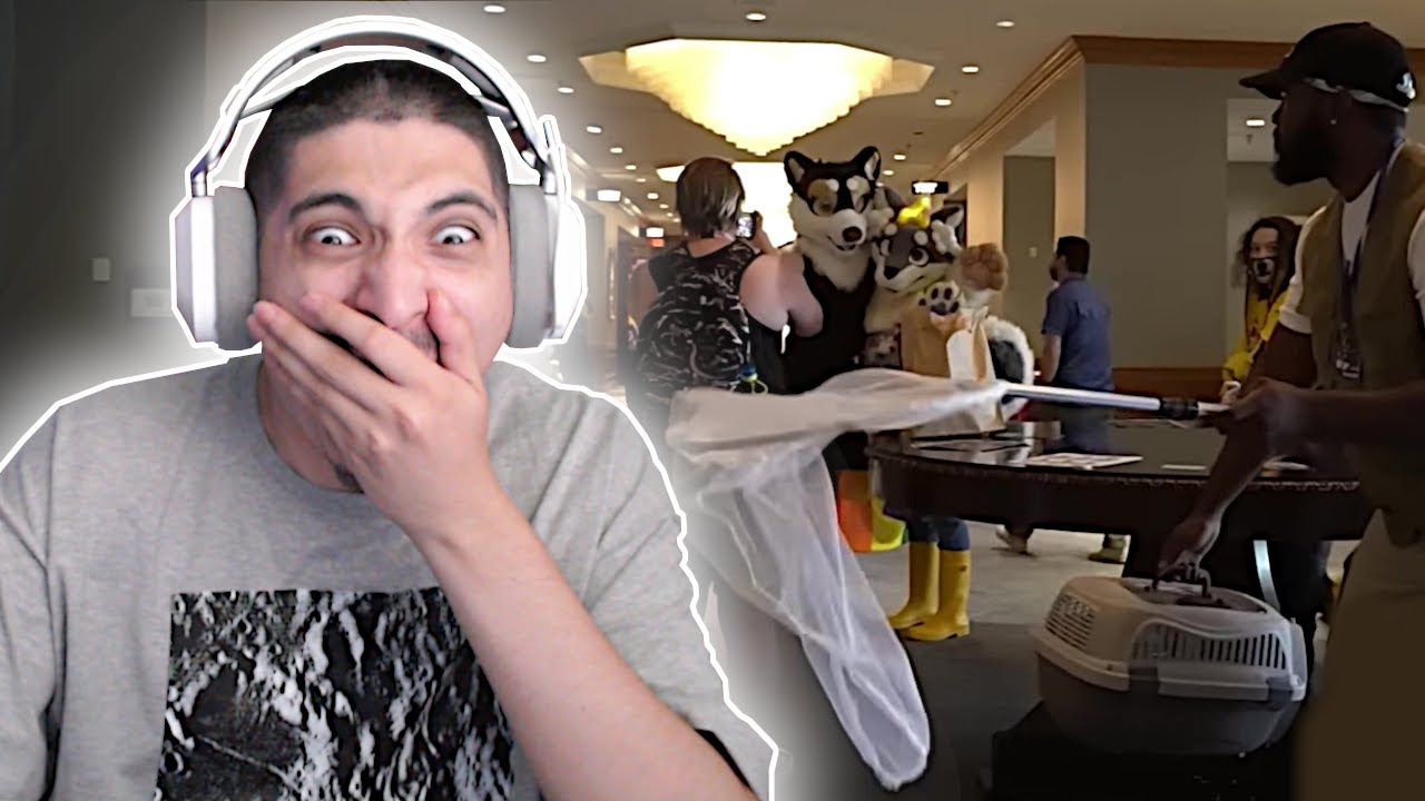 YuhBeazy Reacts to Jidion- "Animal Control Vs Furry Con" - YouTube