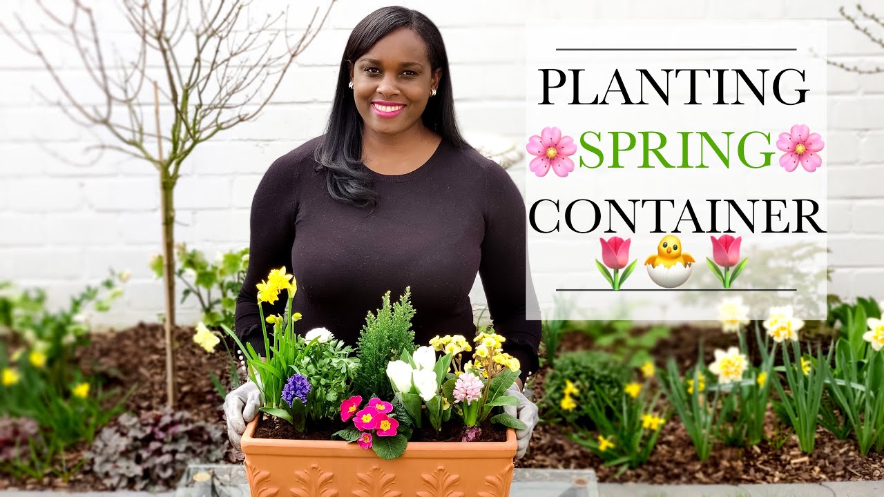 Planting Spring Container | TheLuxeBabe - YouTube