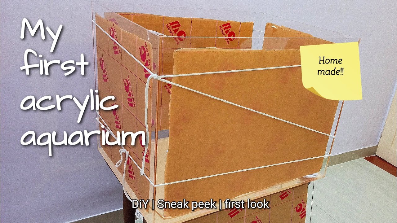 My first acrylic aquarium build | Sneak peek - YouTube