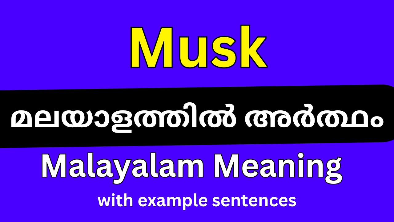 Musk meaning in Malayalam/Musk മലയാളത്തിൽ അർത്ഥം - YouTube