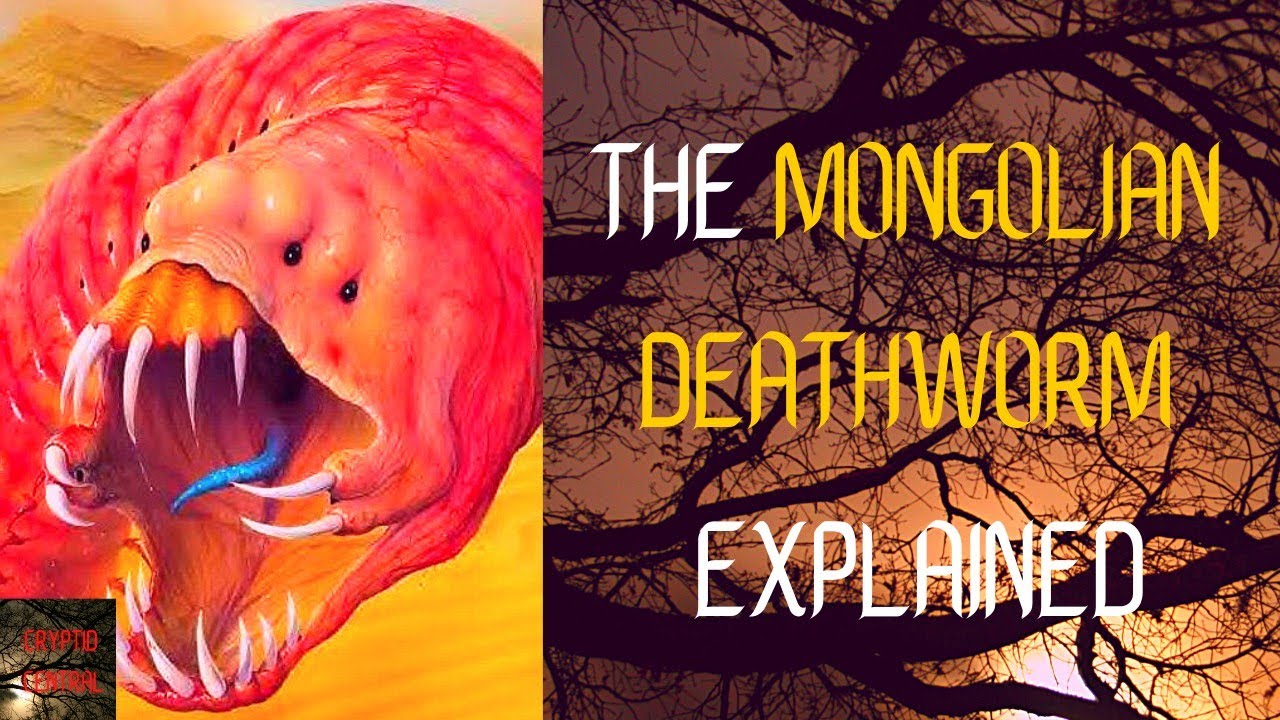 The Mongolian Death Worm - (Mini Documentary) - YouTube