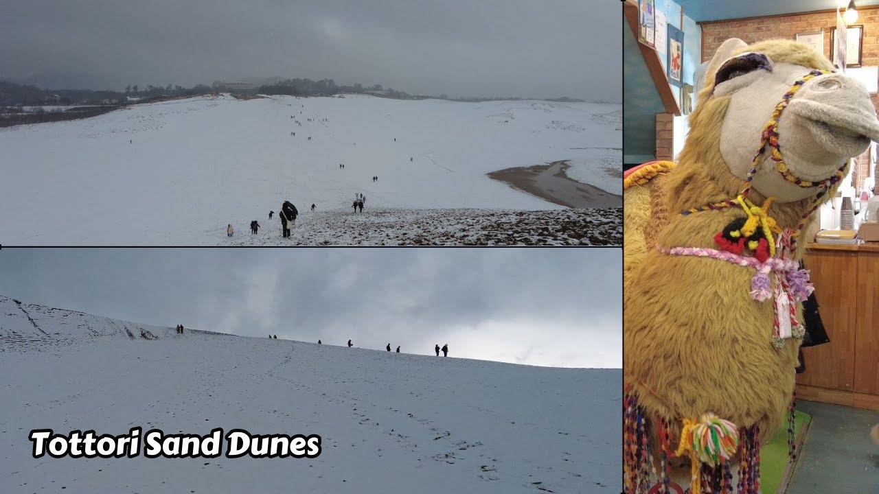 Japan's Only Sand Desert Covered in Snow During a Snowfall - Tottori ...