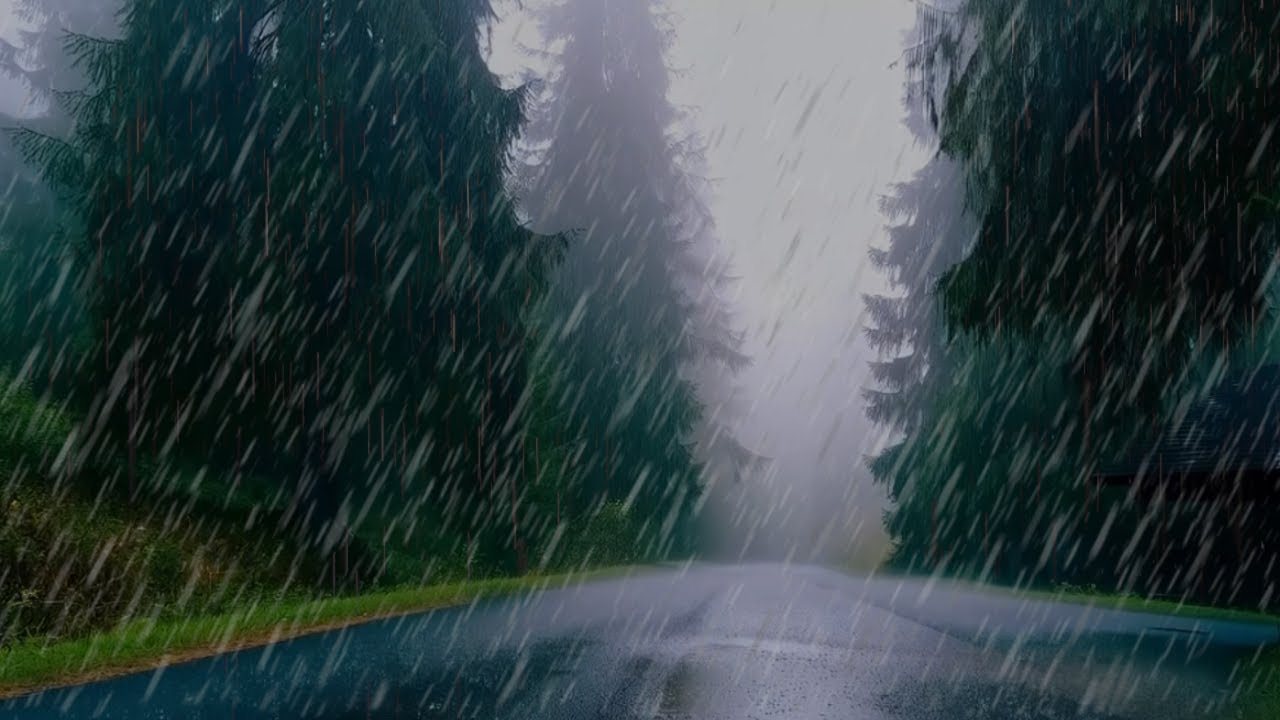 Forest Rainstorm with Thunder for Sleeping – 10 Hours of Ambient Rain ...