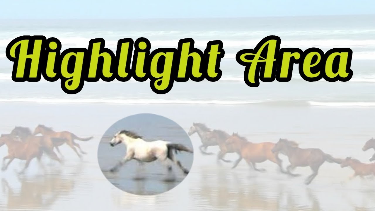 How to create highlight Area in adobe premier pro cc - YouTube