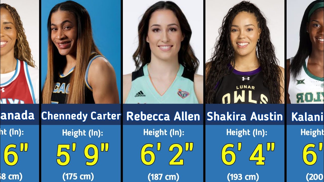The Best WNBA Players by Height. - YouTube