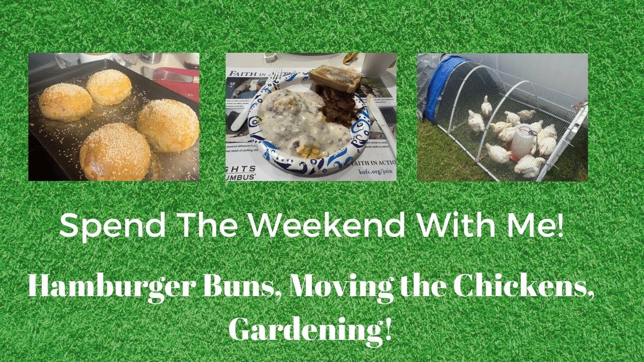 Spend The Weekend With Me! Hamburger Buns, Moving the Chickens ...