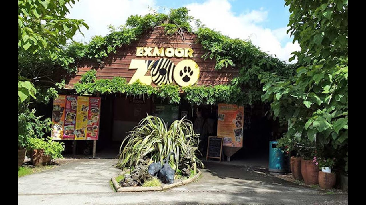 Walk around Exmoor Zoo Summer 2021 (too hot)! - YouTube