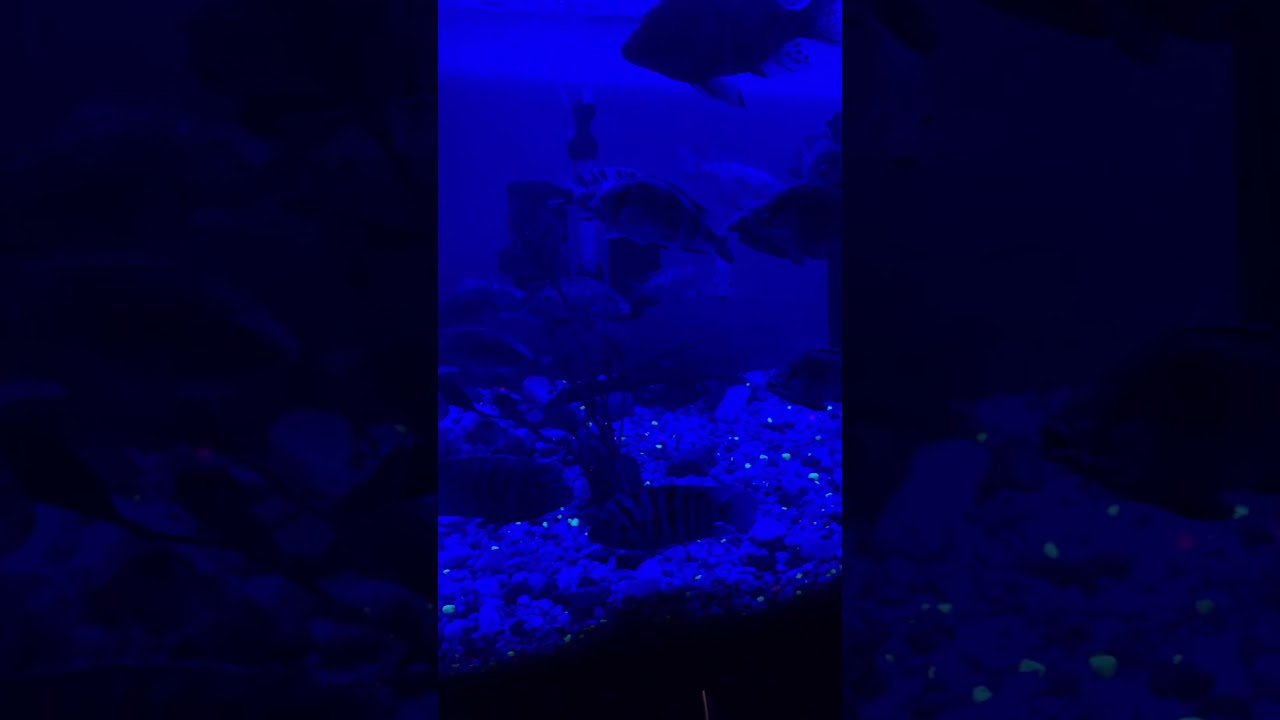 Glow lite on 🤩 - YouTube