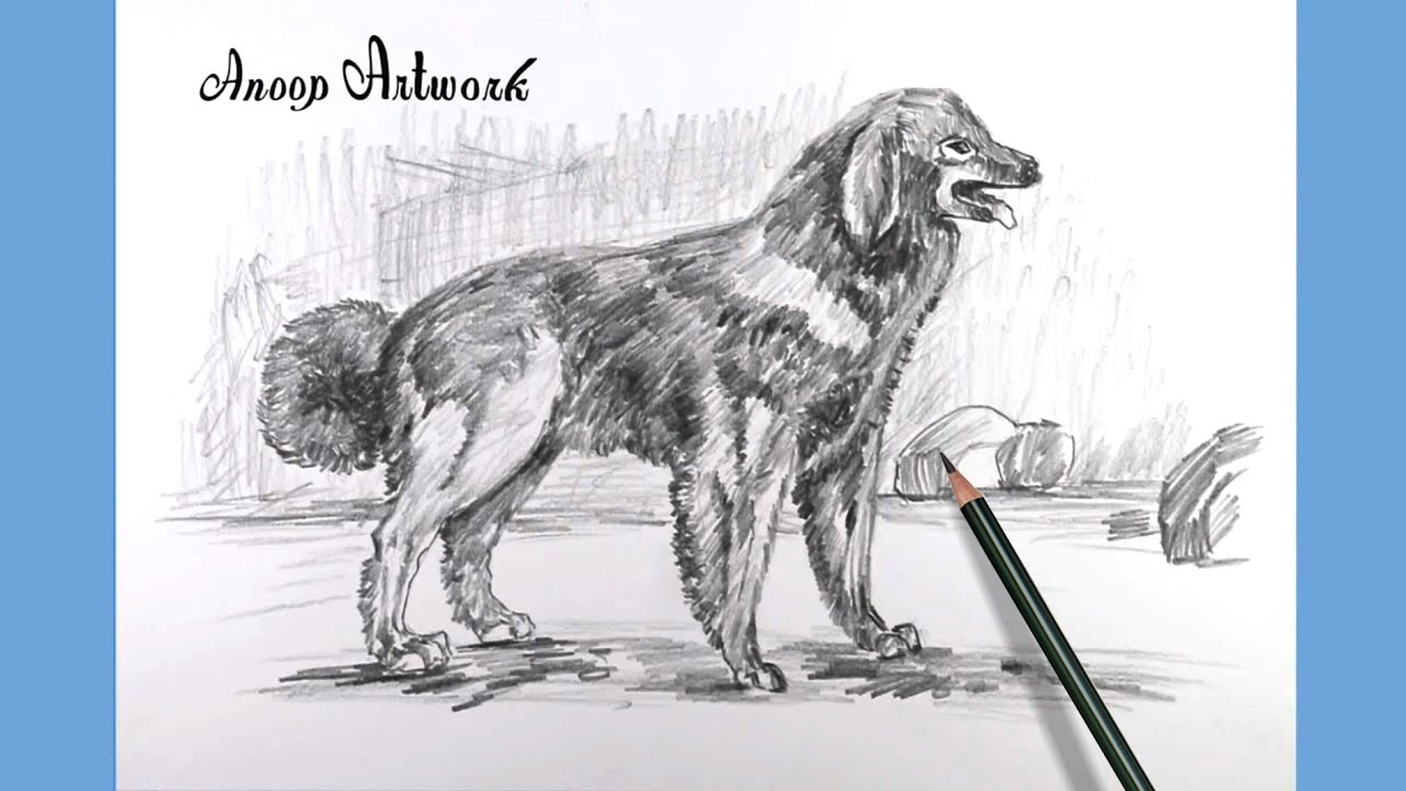 HOW TO DRAW A DOG || Drawing and shading a Dog with pencil for ...