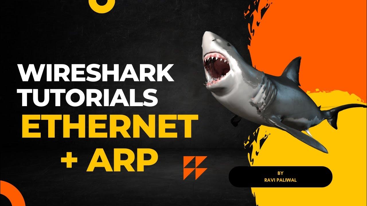Wireshark Lab 10 Ethernet And Arp Youtube