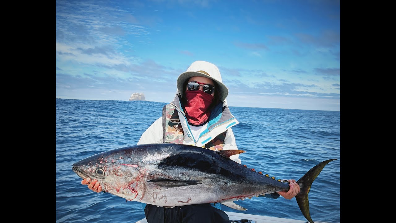 Crazy Bluefin Tuna Action at Pedra Branca, Caught PB 40kg Tuna. - YouTube
