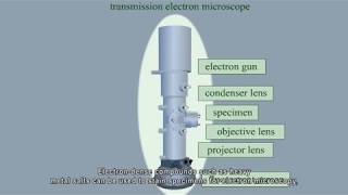 Scanning Electron Microscope Parts