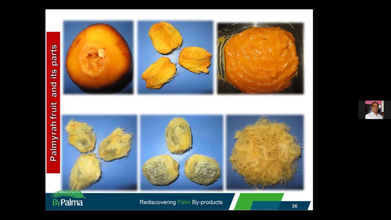 PALMYRAH BORASSUS FLABELLIFER L PALM PRODUCTS AND BY PRODUCTS IN INDIA ...