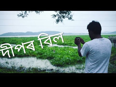 Dipor bil || Deepor beel guWahati || Deepor Beeloলৈ এপাক RIDE || Dipor ...