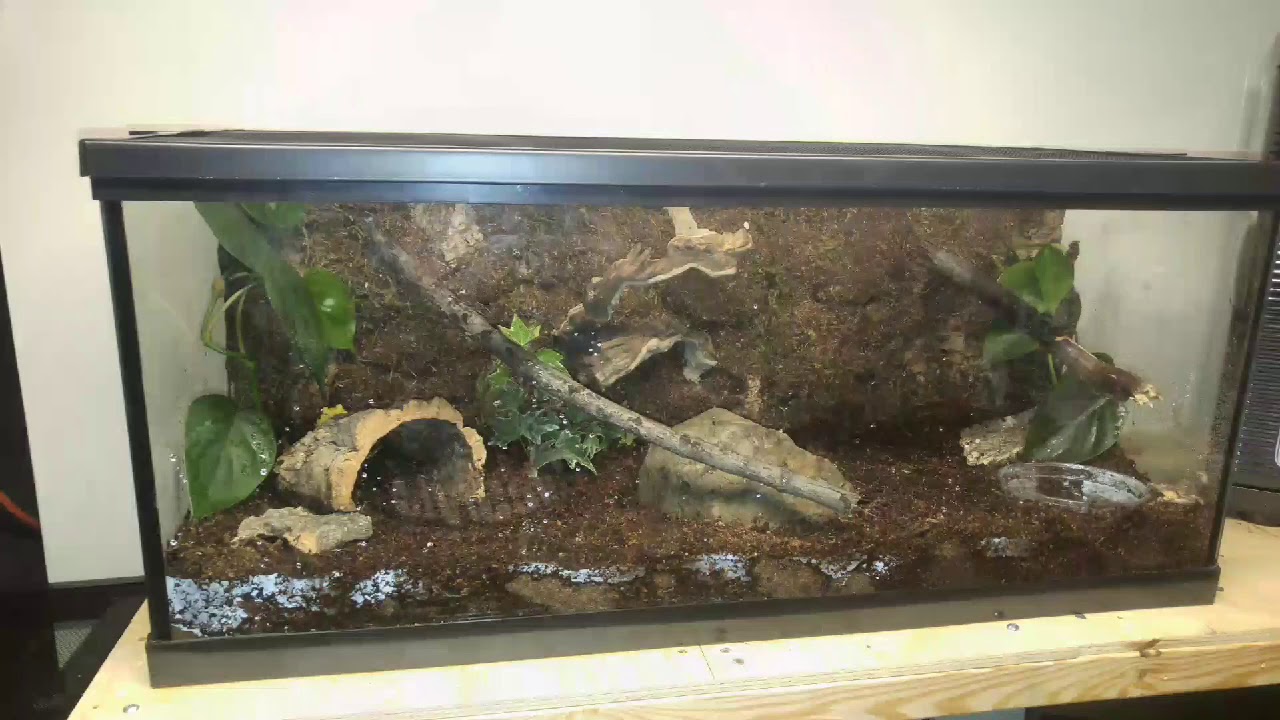 Diy enclosure setup - YouTube