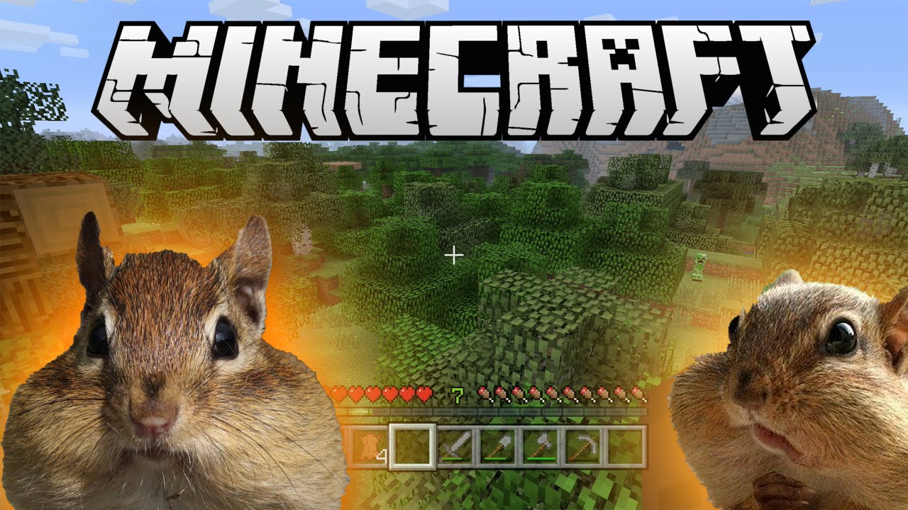 Chipmunk's Play Minecraft! - YouTube