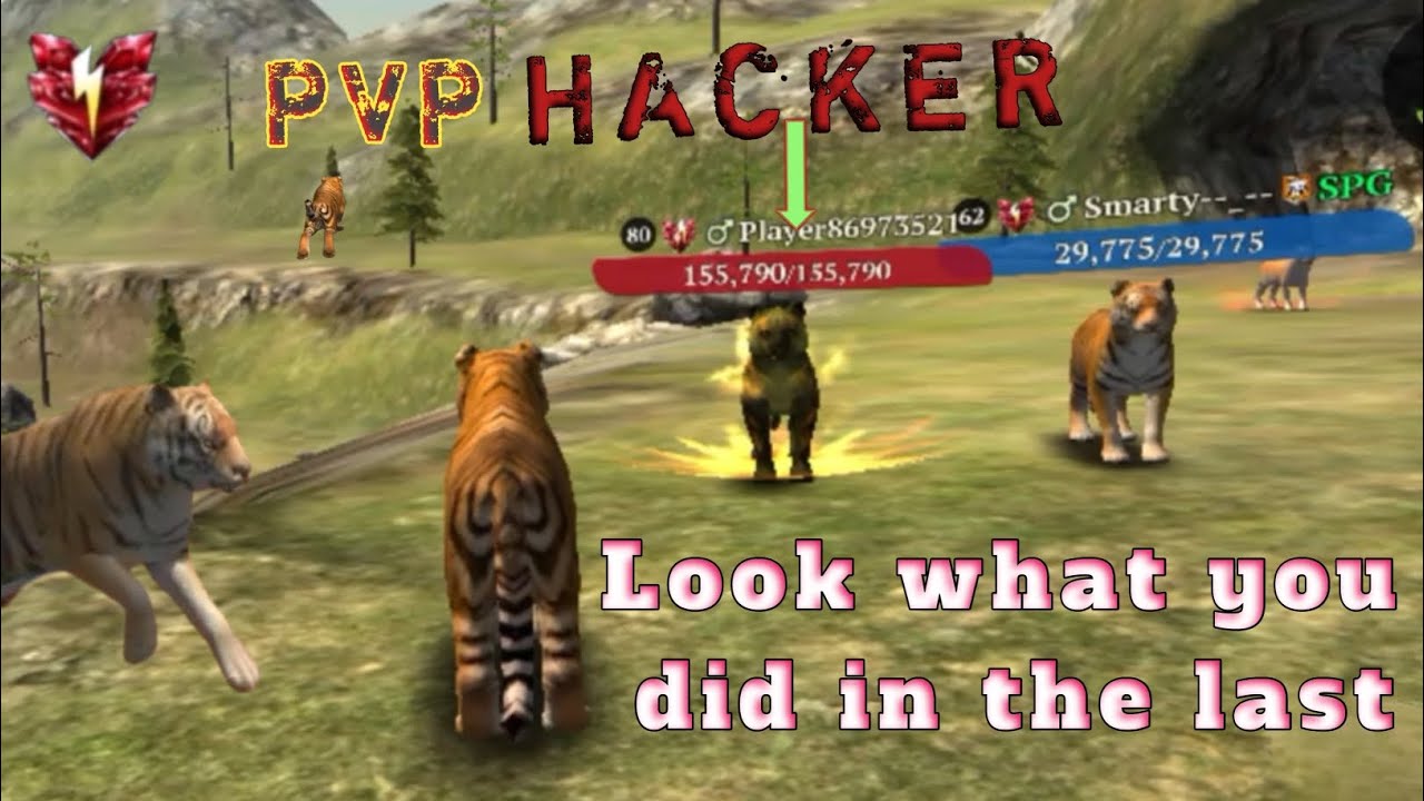 The Tiger - PVP Hacker Very Denger 😳 - YouTube