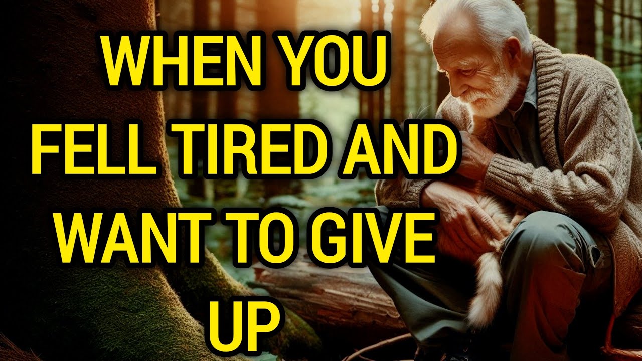 Don't Compare Yourslf to Anyone By Eagle's Wings | when you feel tired ...