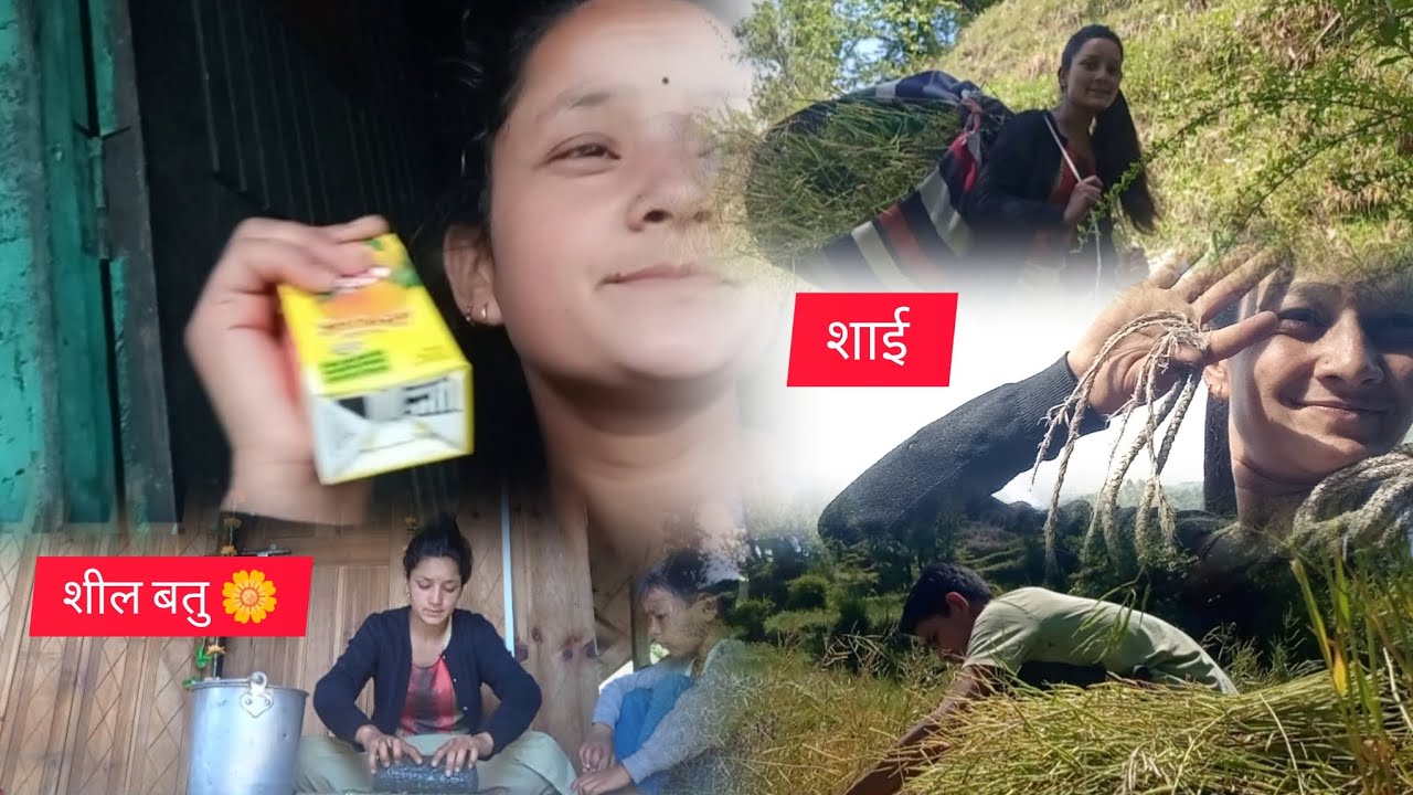 sarso ki katai ki aaj 🏡😮‍💨|| shil bttu ki chatni 😋 || - YouTube