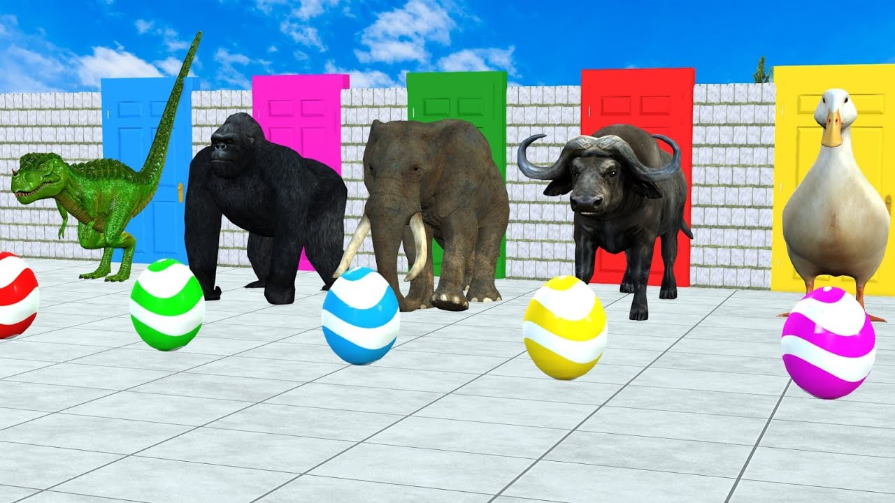 Long Slide Game With Lion Elephant Cow Gorilla Zebra T-rax Tiger 3d ...