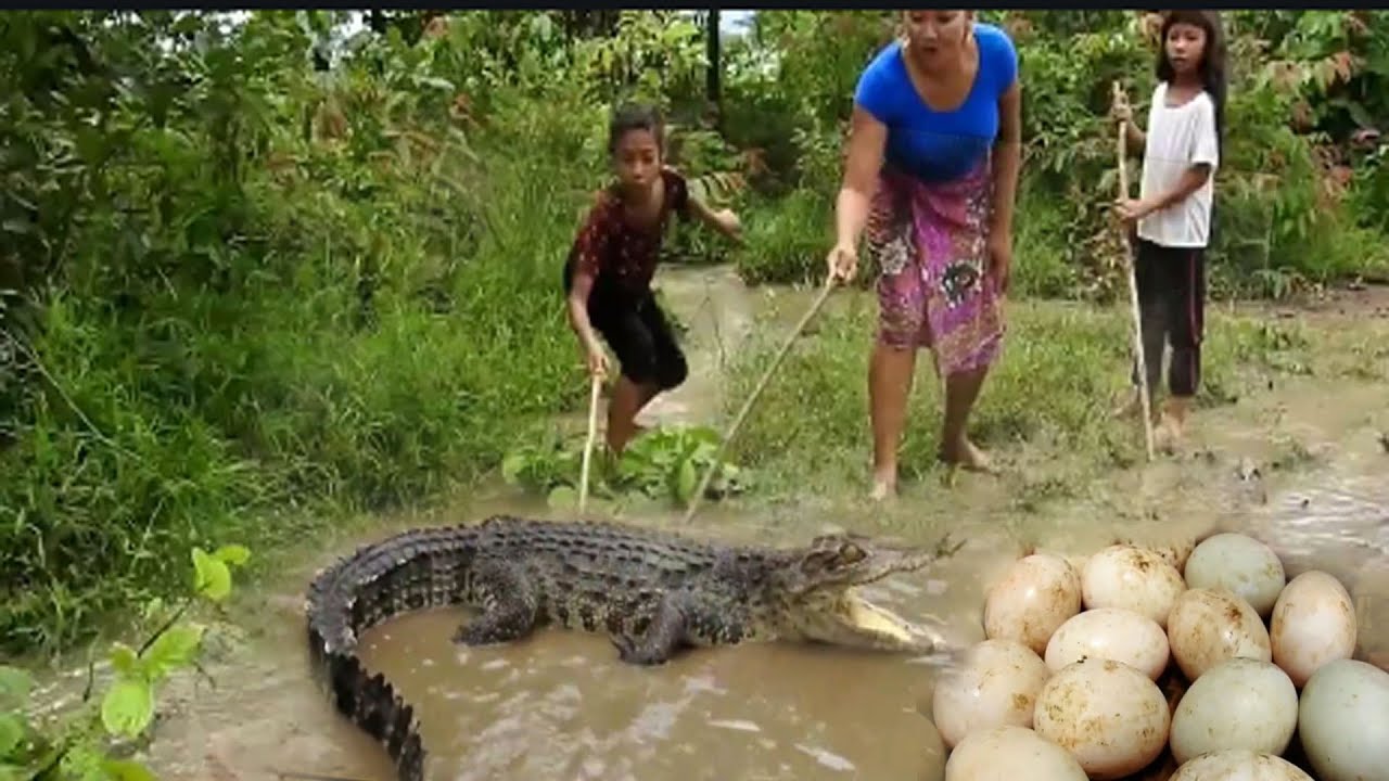 Primitive technology.Two Sisters find Crocodile, Pick up Eggs ...