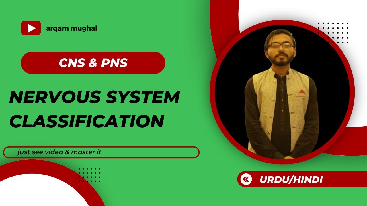 Nervous System |Lecture #01|CNS & PNS|Classification #anatomy #biology ...