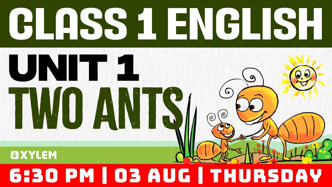Class 1 English | Unit 1: Two Ants | Xylem Class 1 - YouTube