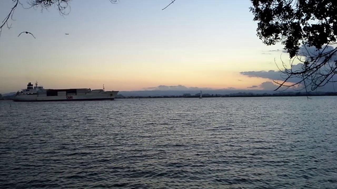Barco "Dole" San Juan; P.R. - YouTube