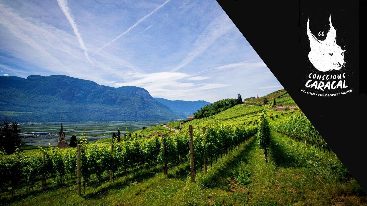 Return to the countryside | Roman Cabanac - YouTube