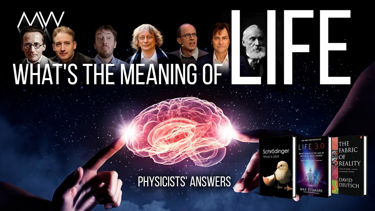 The Science of Everything: Atoms to Consciousness Explained - YouTube
