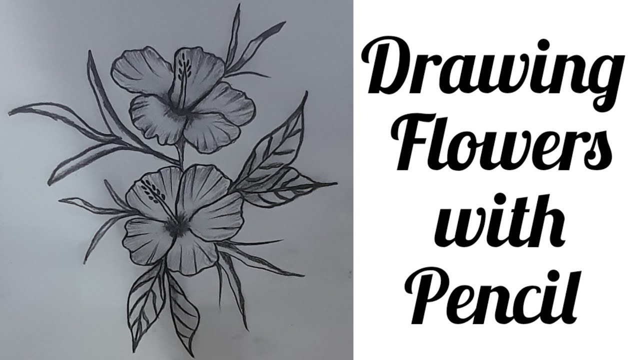 How to draw Beautiful Flowers |Pencil drawing |Step by step # ...