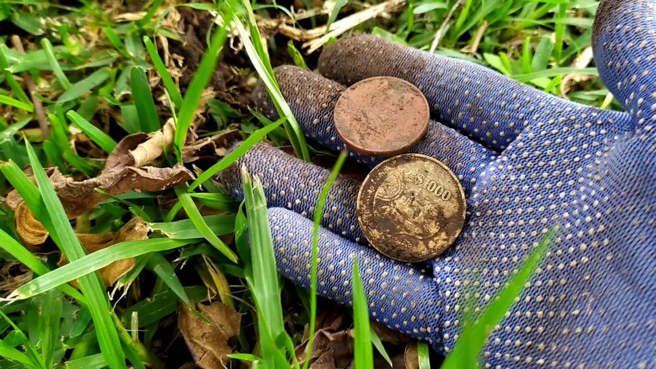 TESOROS ENTERRADOS| detectando con el GO FIND 44 - YouTube