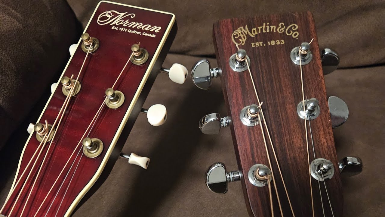 Video 4: Norman ST50 and Martin D-28 Standard Comparison - YouTube