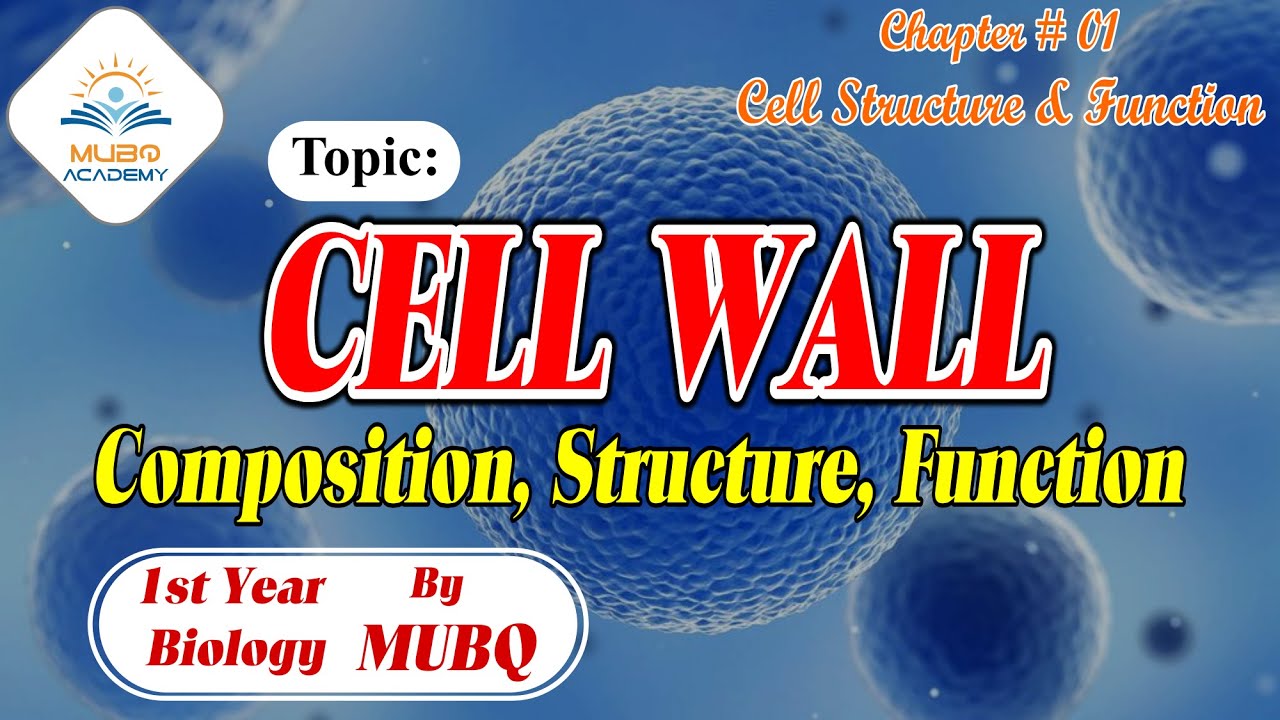 Cell Wall || Composition, Structure and Function of Cell Wall || Cell ...