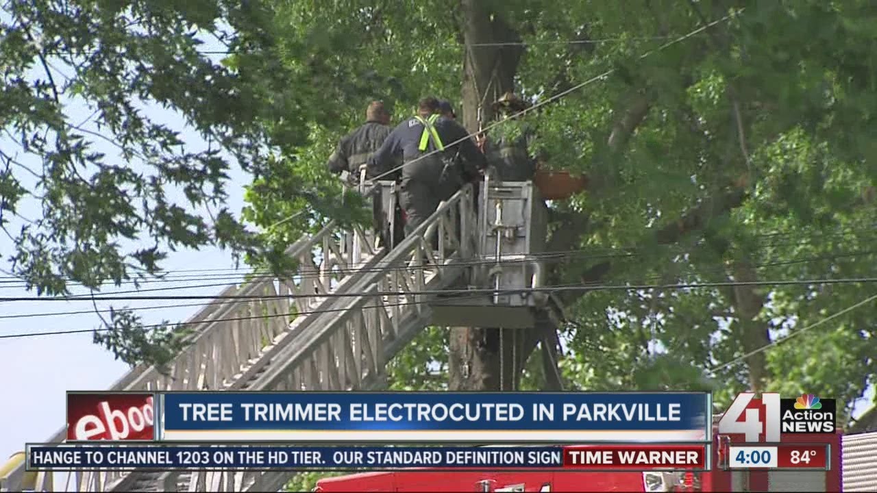 Tree trimmer electrocuted in Parkville - YouTube