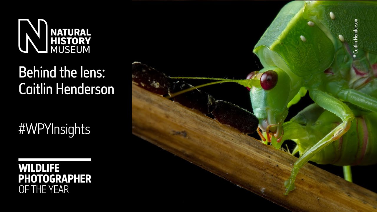 Behind the lens: Eggs of life and death - Caitlin Henderson | Wildlife ...