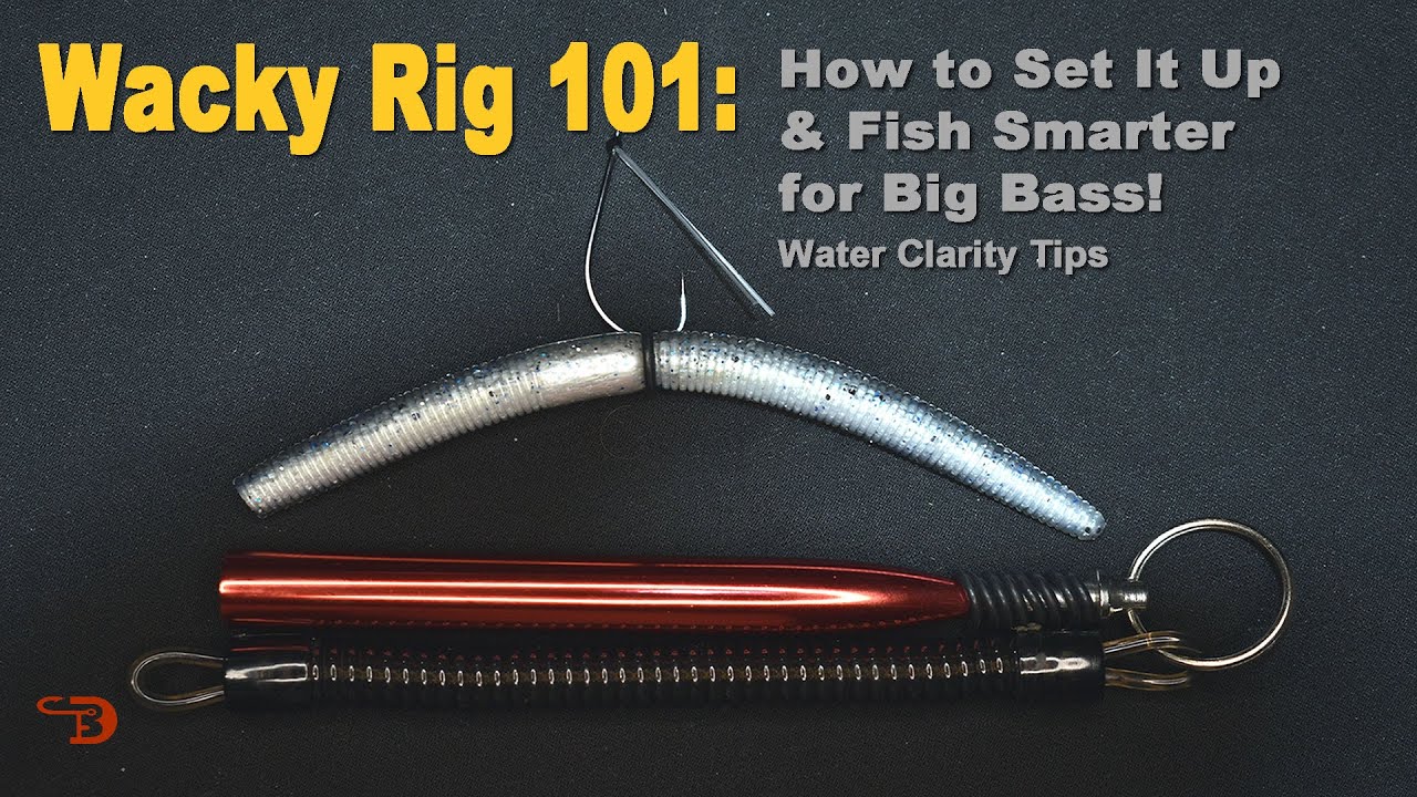 How to Set Up the Wacky Rig for Bass Fishing | Traditional & Innovative ...