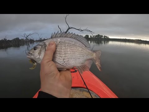 Catching fresh water BLACK BREAM in the middle of NOWHERE - YouTube